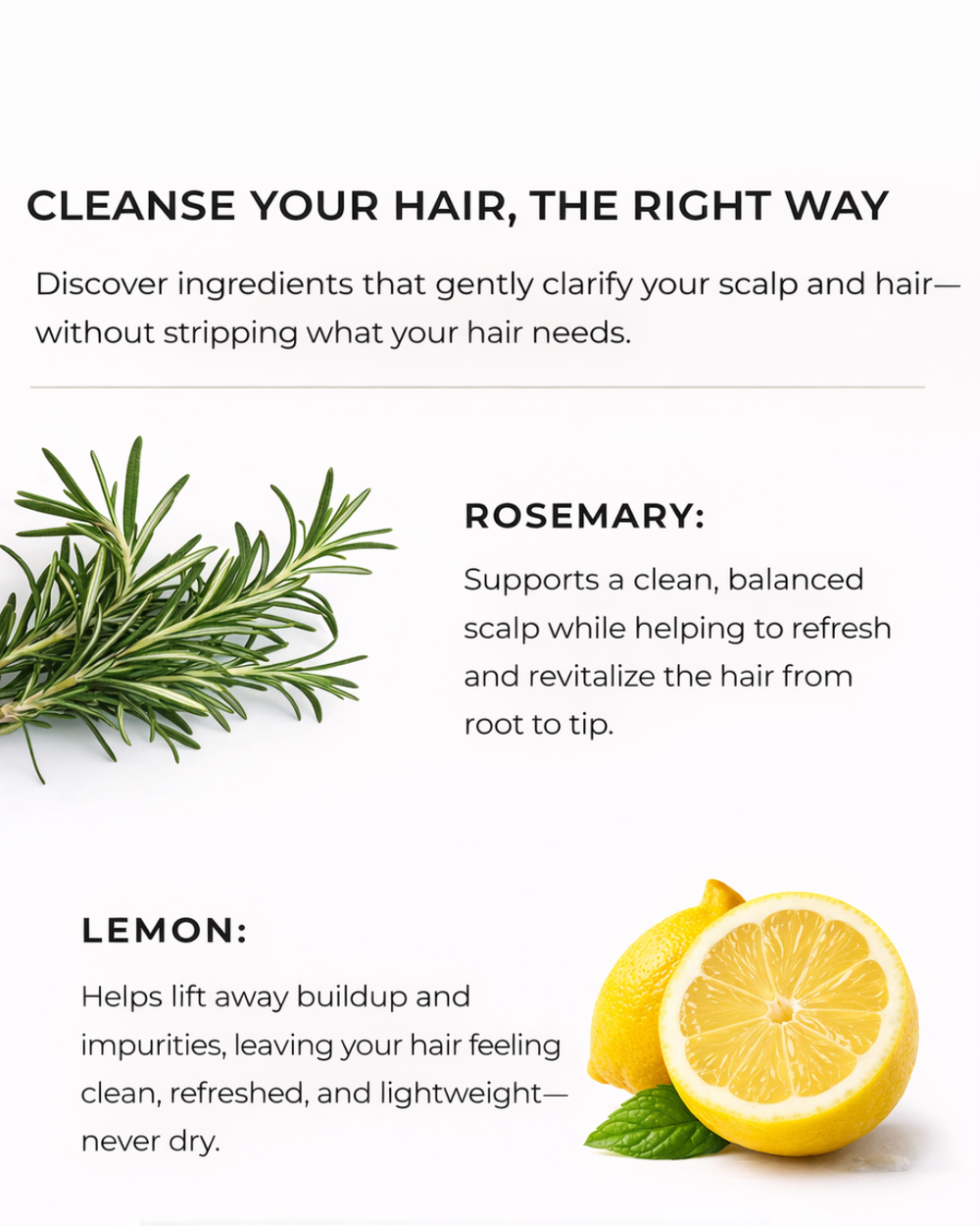 Lemon & Rosemary Clarifying Shampoo | Natural Hair Care – Nature's ...